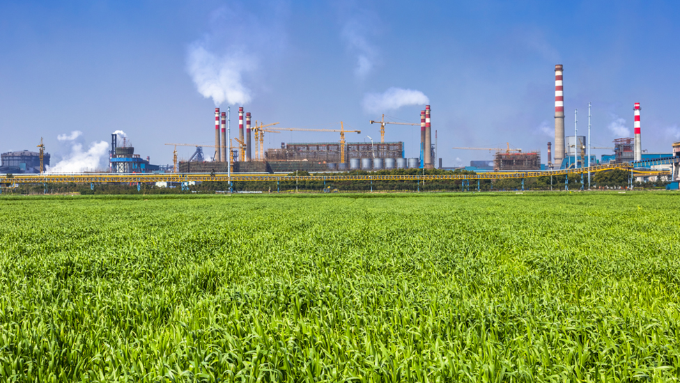 Carbon Capture and Credits Summit | Sustainability Week