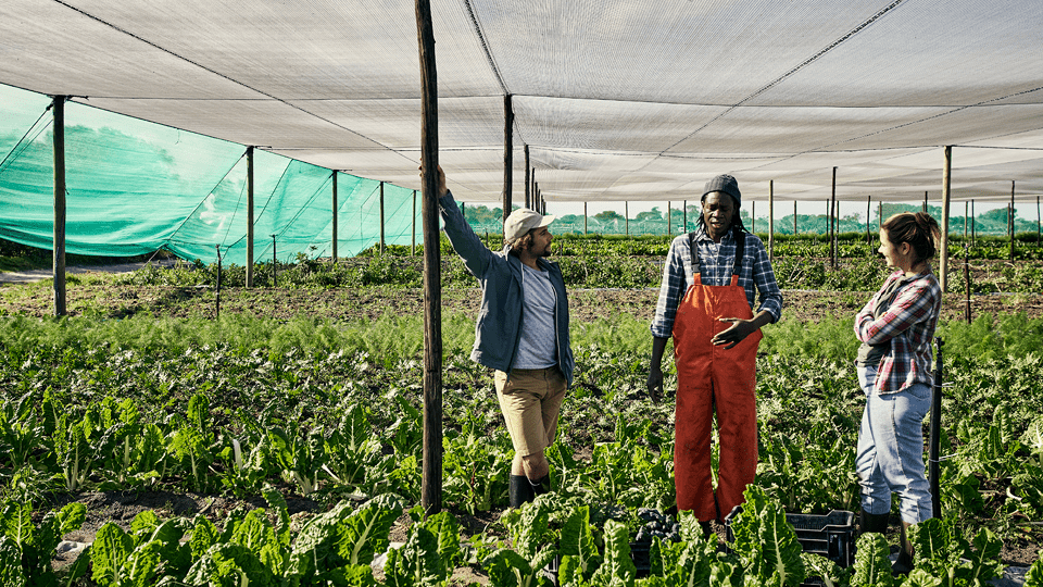 Sustainability Week Africa